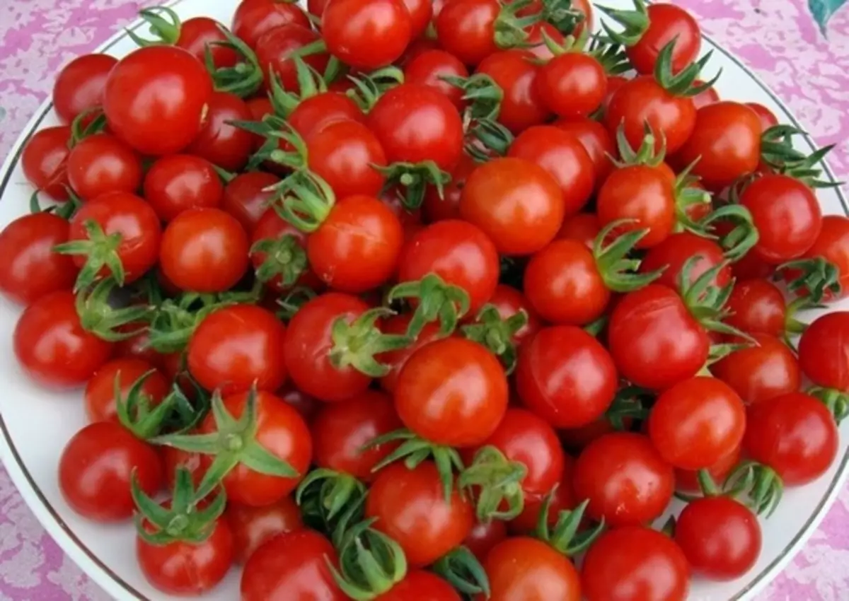 Erscheinung Tomato séiss Kiischte