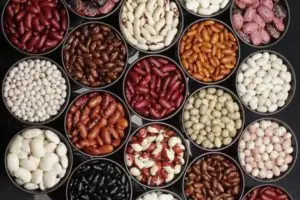 Technology of growing and care for beans in the country in the open soil