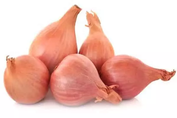 Onions on Groke