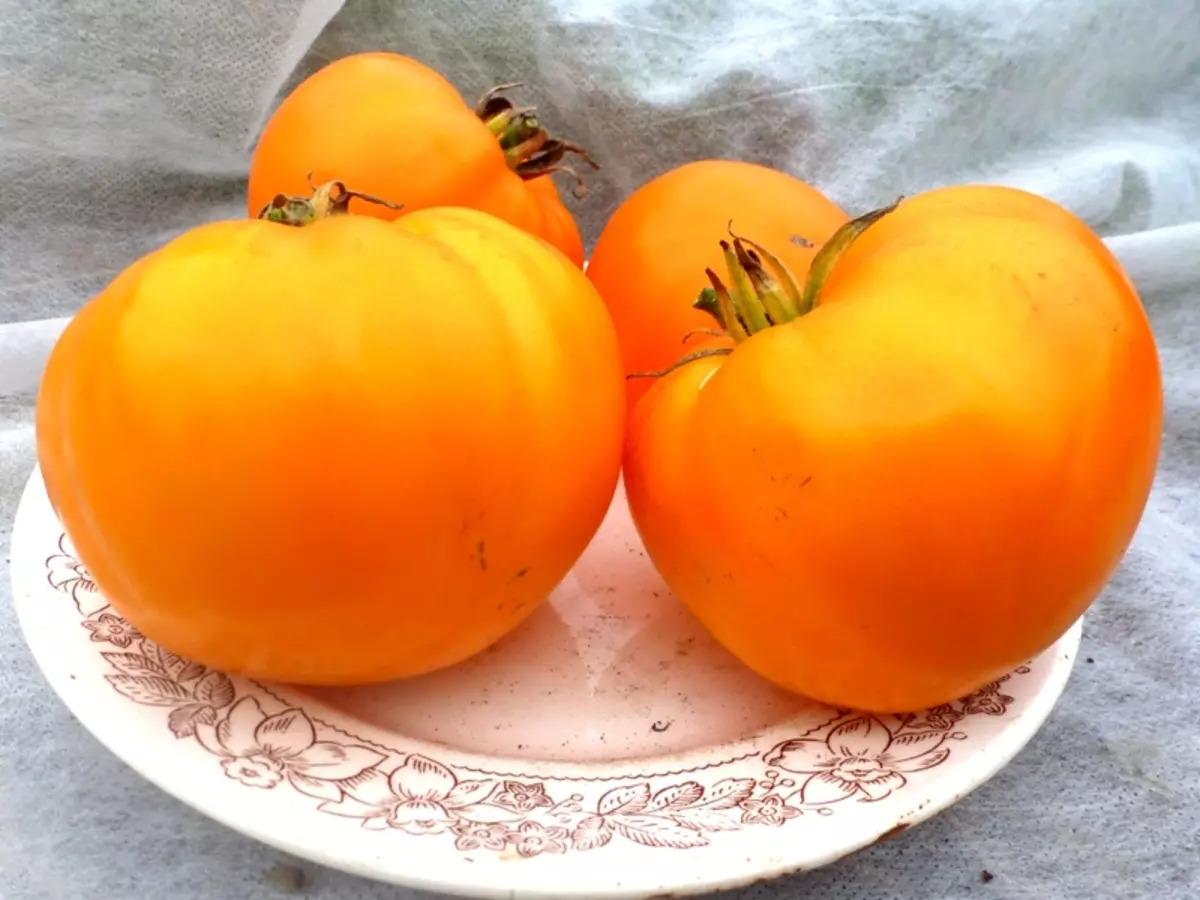 Tomaten-Orange-Erdbeer-Deutsch auf einem Teller