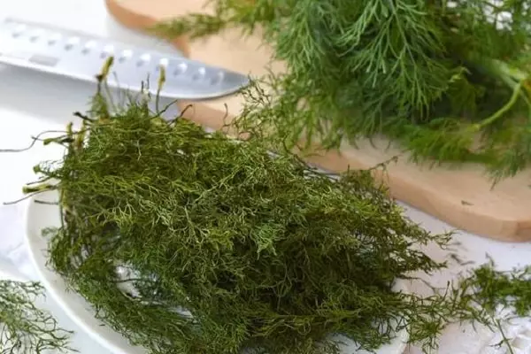 How to dry dill at home for winter with photos and videos