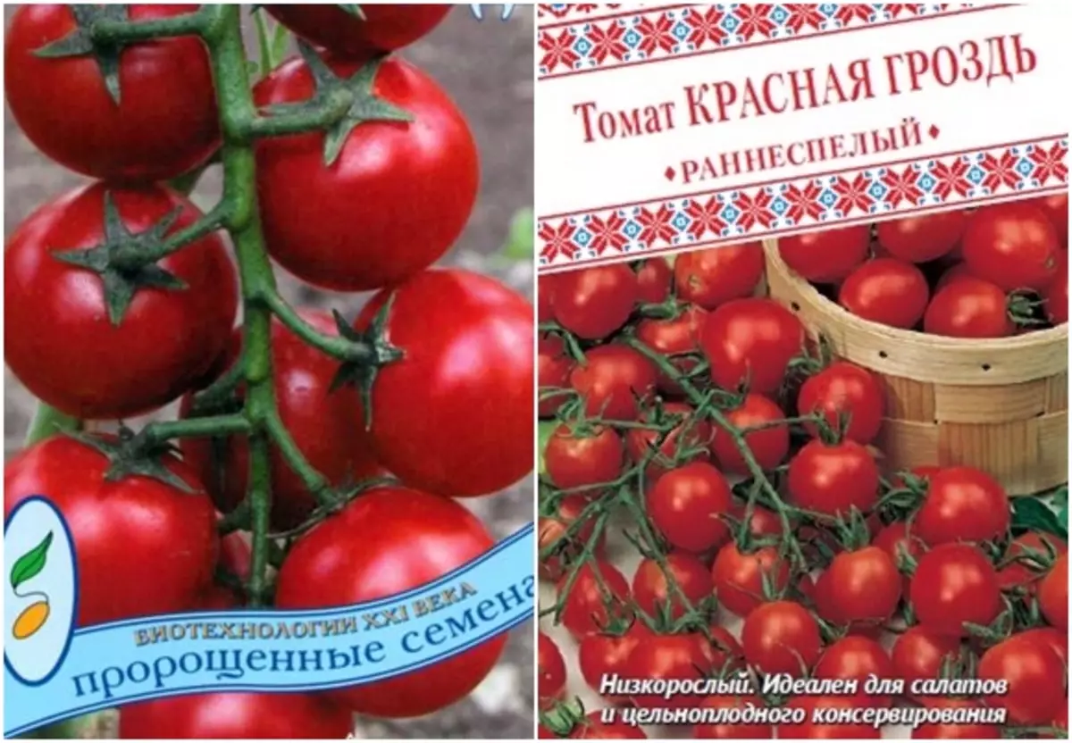 Tomat fröer röd gäng