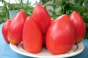 Tomaatti Tomato Dome Kuvaus ja sen ominaisuudet