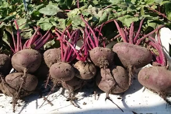 Beets Detroit