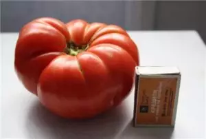 Utbytte og beskrivelse av variasjonen av tomat Angela Giant