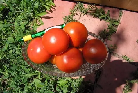 Tomatoes Crystal F1.