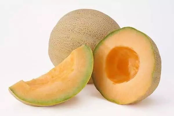 Pests Melon