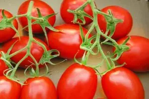 Beschreibung der Vielfalt einer Sparka-Tomate, die Merkmale von Anbau und Pflege