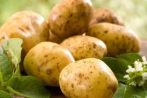 Inkcazo yenqanaba le-potatoes lora, i-pecallorimates yeliko kunye nononophelo