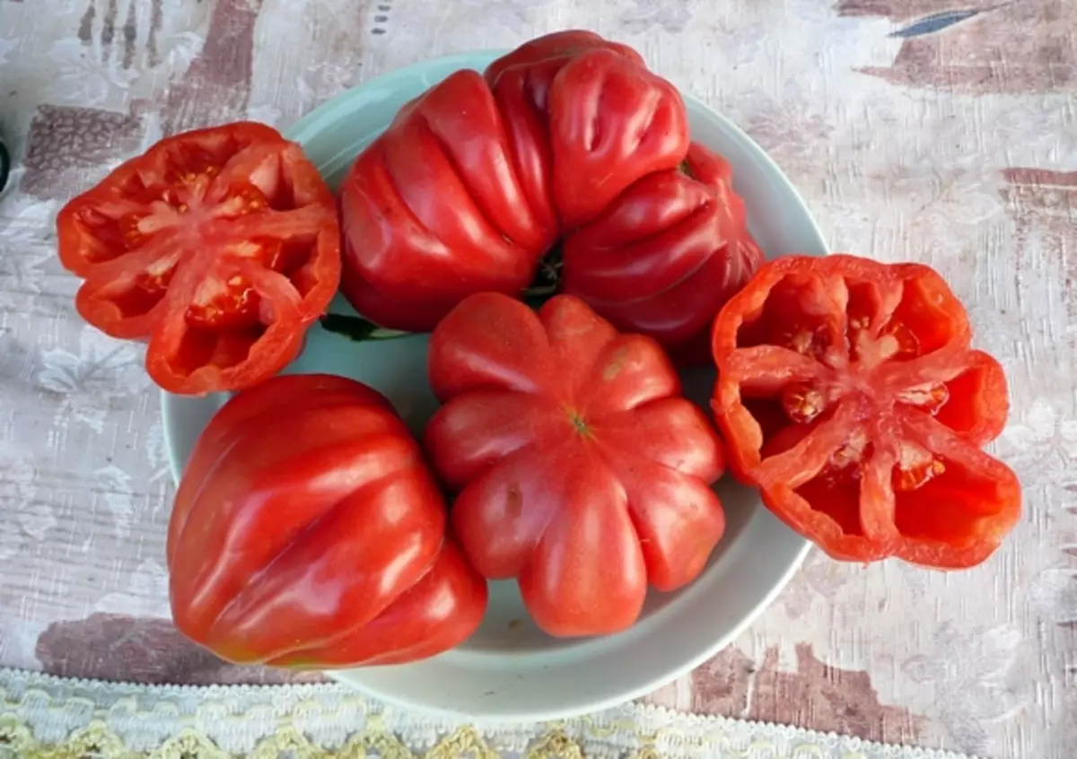 Tomat Tlaolulla de Matamoros på en tallrik