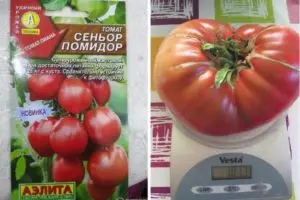 Beskriuwing fan tomaten senor tomaat en syn opbringst
