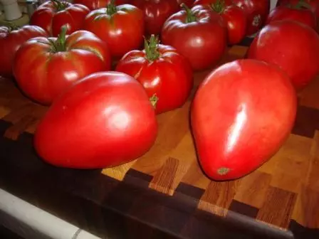Tomatos ar y bwrdd