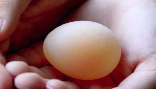 Eier met dun dop