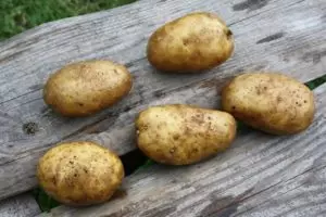 Descrición da sorte da variedade de pataca, as súas características e recomendacións para o cultivo