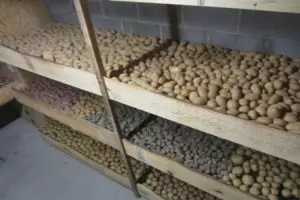 Hvordan og hvor hvor man kan opbevare kartofler hjemme i lejligheden