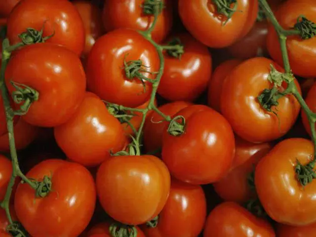 Uiterlijk tomaten van tomaat Maryina Grove