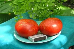 Beschrijving van het tomaatvuurwerk, zijn kenmerken en de eigenaardigheden van groeien