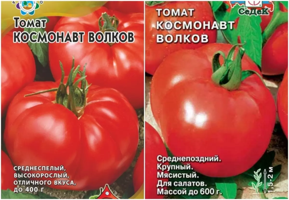 Tomati seemned COSMONAUT hundid