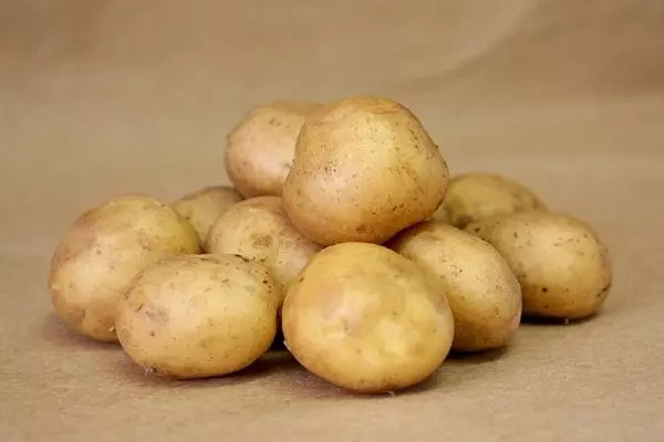 Potatis vektor