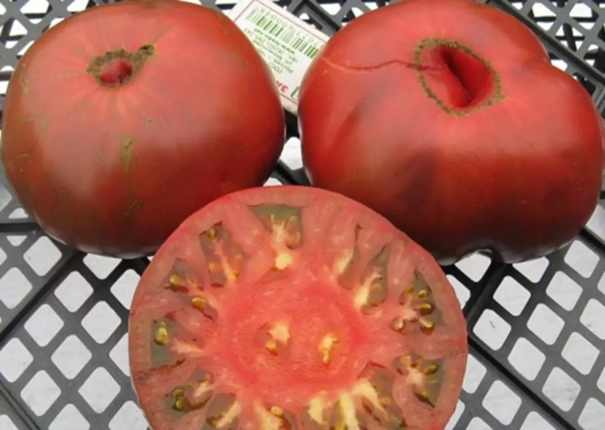 Penampilan Tomat Perf Bangga