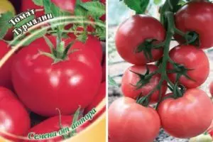 Popis rajčatové turmalínové rajče, jeho vlastnosti a výnos