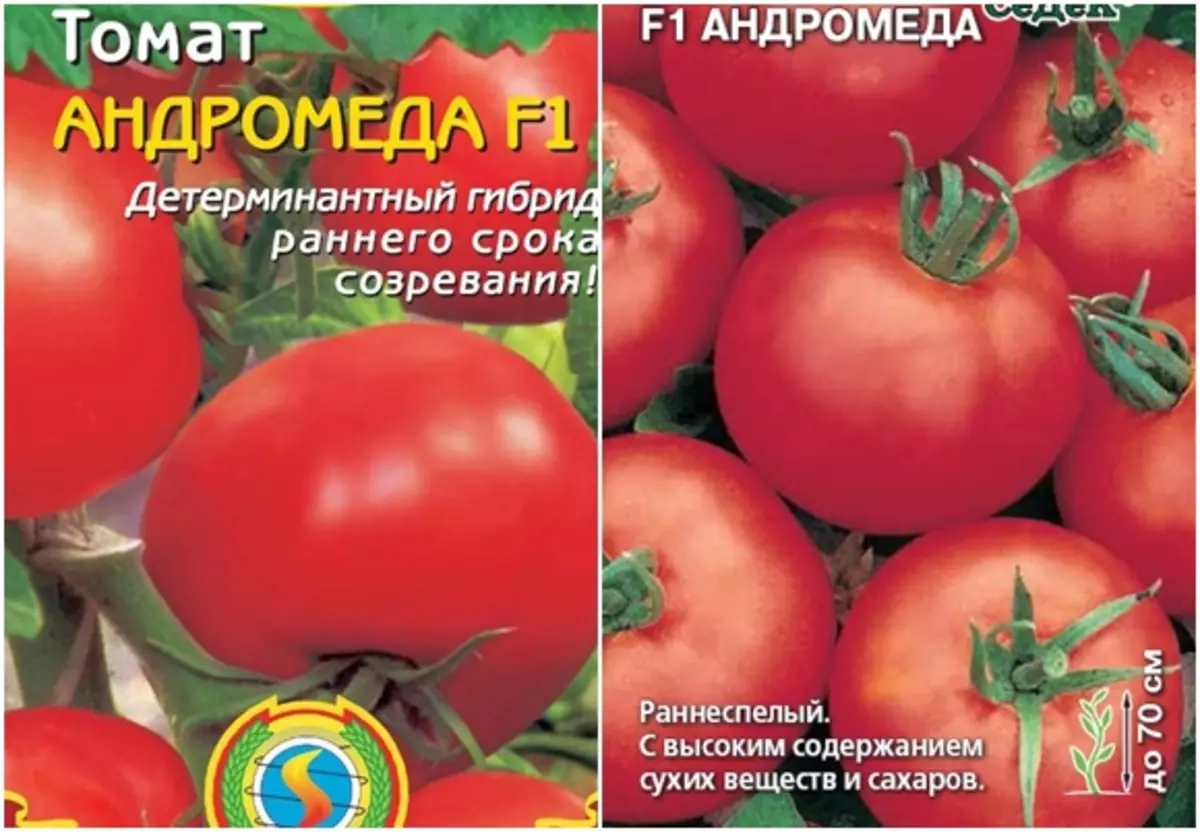 Pomidorų sėklos andromeda.