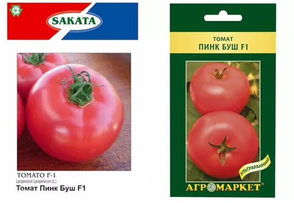 番茄种子粉红色灌木f1
