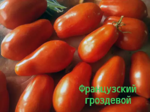 Ifarahan ti awọn tomati Faranse