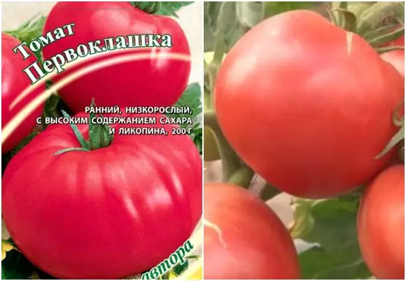 Tomatens siedt earste klasse