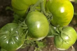 Descrizione della varietà di pomodoro Smerald Stormbal, la sua caratteristica e rendimento