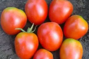 Paglalarawan ng mga varieties ng Tomato Apollo, mga katangian at ani nito