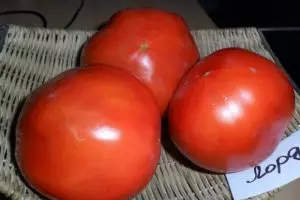 Priskribo de la tomato Lord Variety, la proprecoj de kreskado kaj zorgo