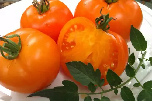Tomato oranĝa elefanto sur plato