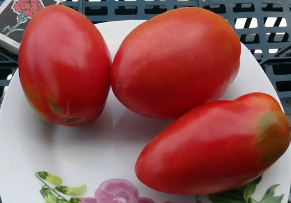Ordena Pepper Solid Tomat