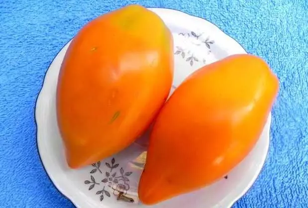 Narančasta narančasta rajčica