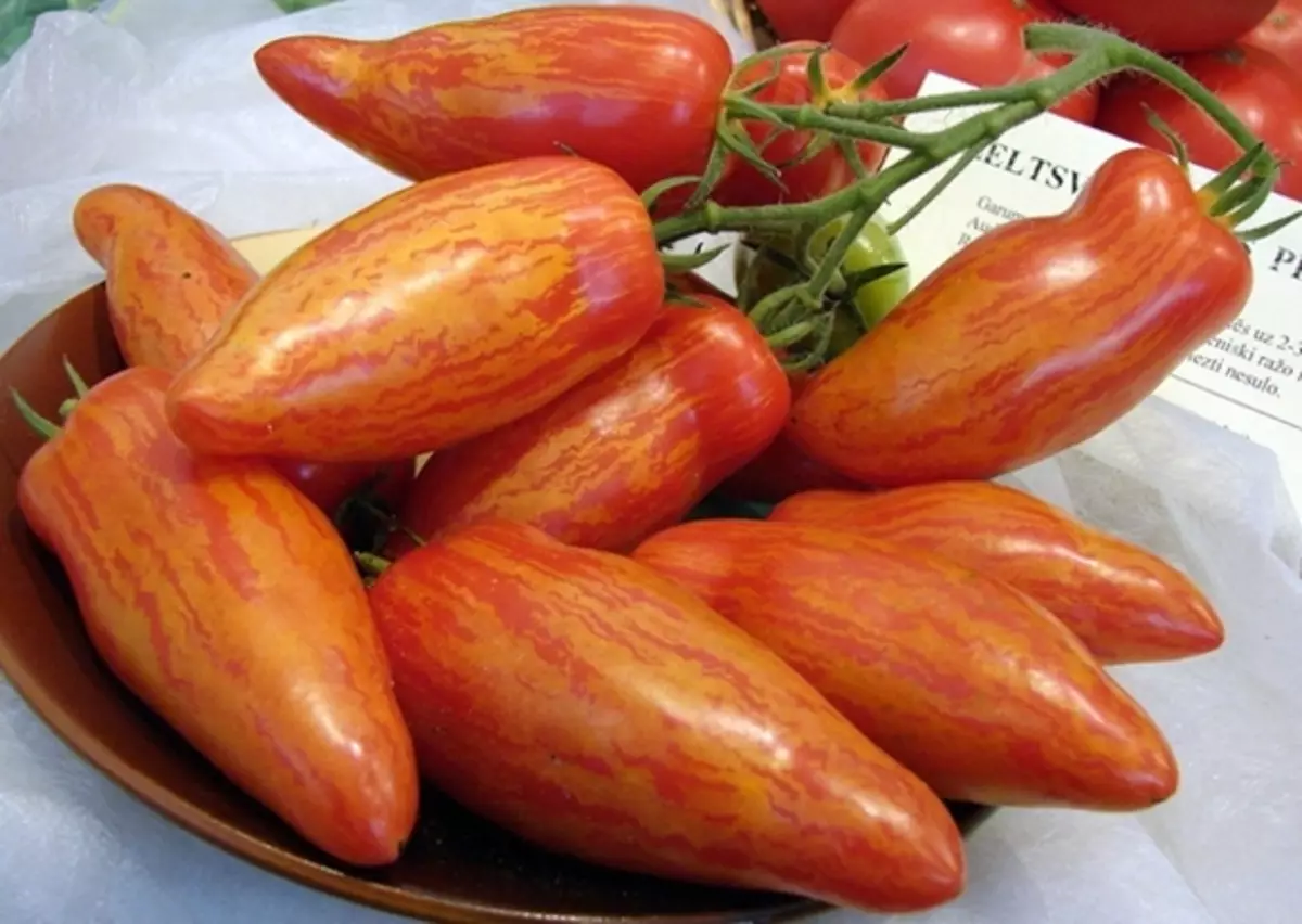 Piparu svītrains tomāts