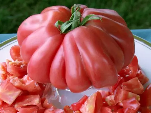 Pomidor tapyldy