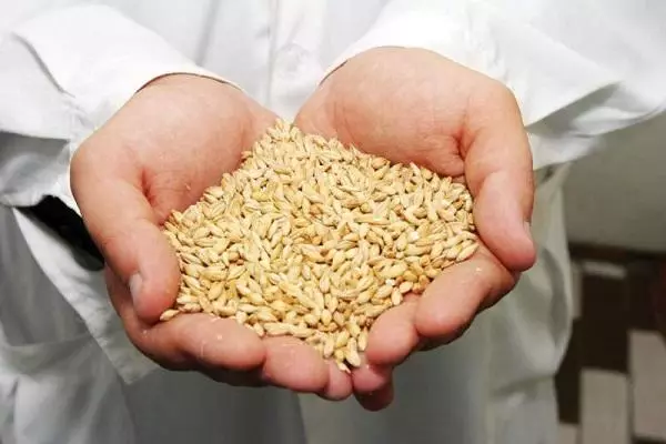 穀物の手