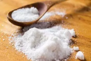 Är det möjligt och hur man ger salt till salt, när du inte kan lägga till kosten