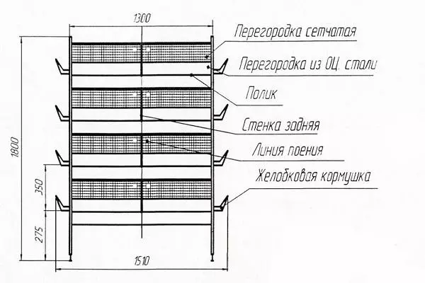 Projeyên serfiraz