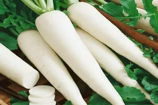 Funfun radish