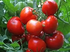 Deskripsyon nan tomat vyolan la, karakteristik yo ki nan ap grandi ak swen