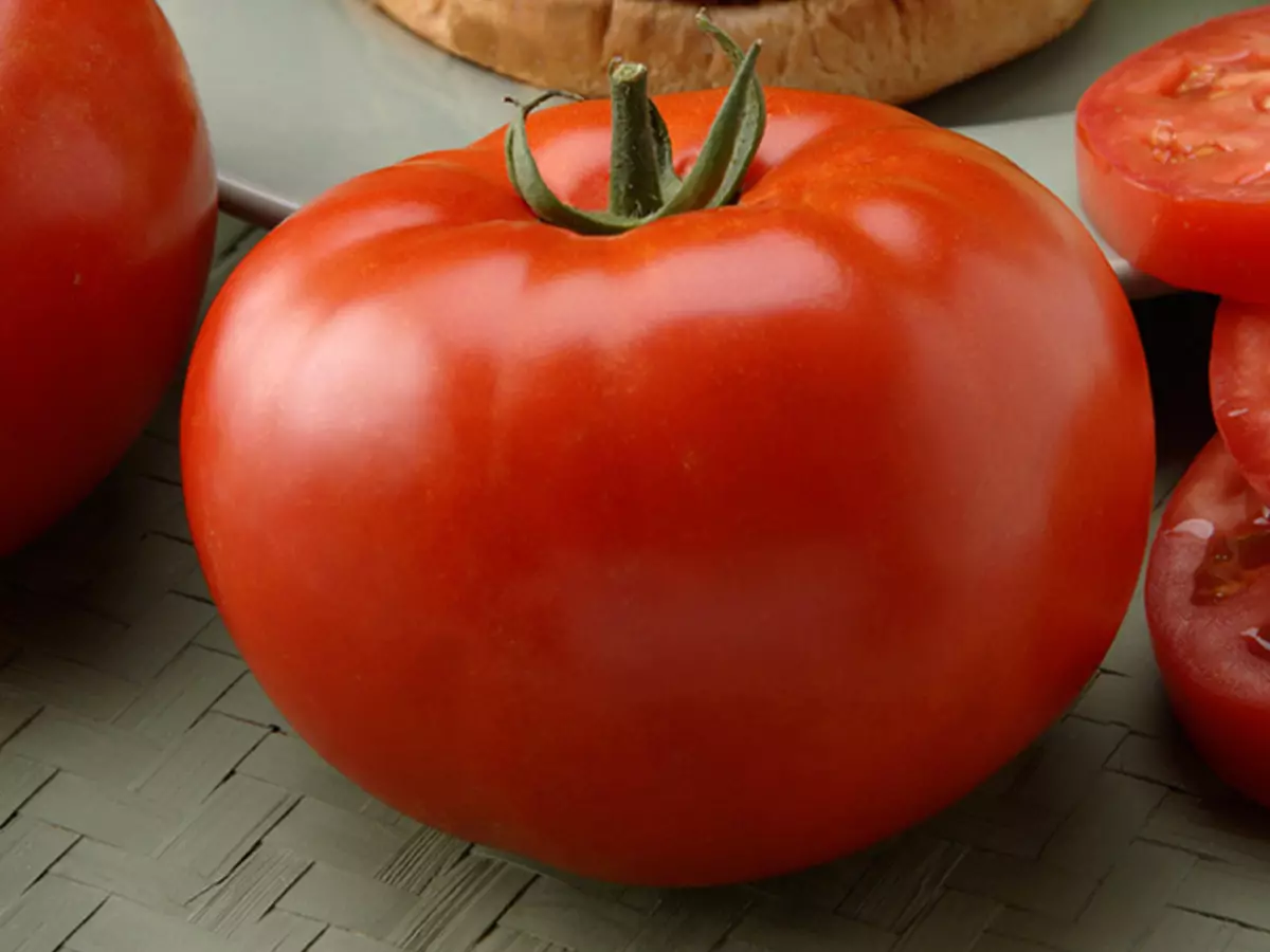 Grande tomate Beff.