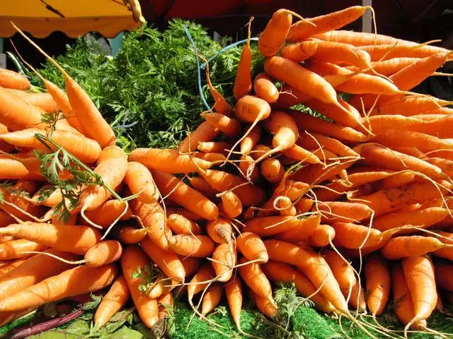भाज्या बाग मध्ये गाजर