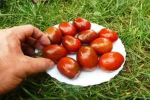 وصف الخوخ الطماطم والتوصيات للنمو والرعاية