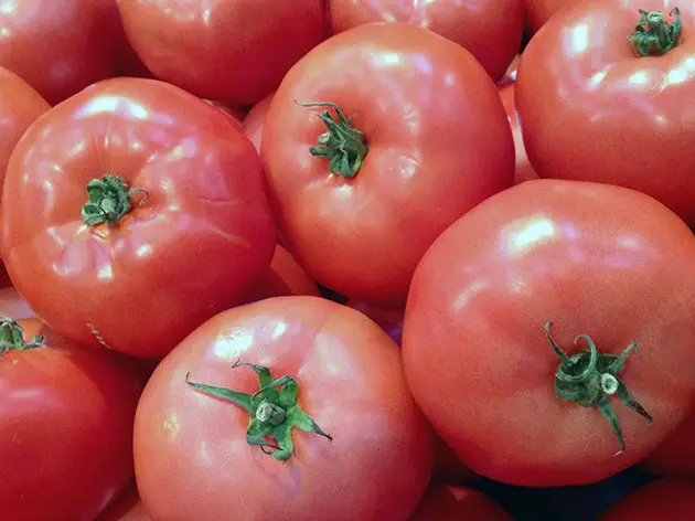 עגבניה צונאמי ורוד