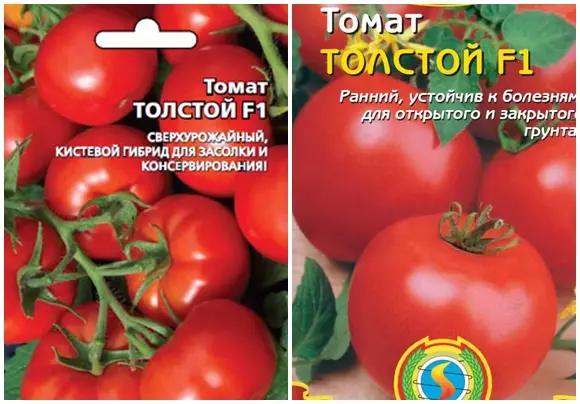 Benih Tomato Tolstoy F1