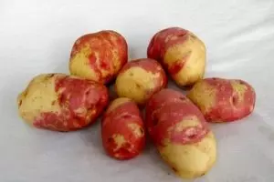 Beschreiwung vun der Kartoffel varieties Ivan-da Maria an Ivan-da-Shura, kultivation a Rendement