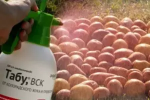 Juhised ravimi tabu kasutamiseks Colorado mardikast töötlemiseks