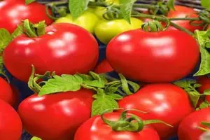Beskrywing Tomato Bolivar F1 Tamatie, sy kenmerk en opbrengs